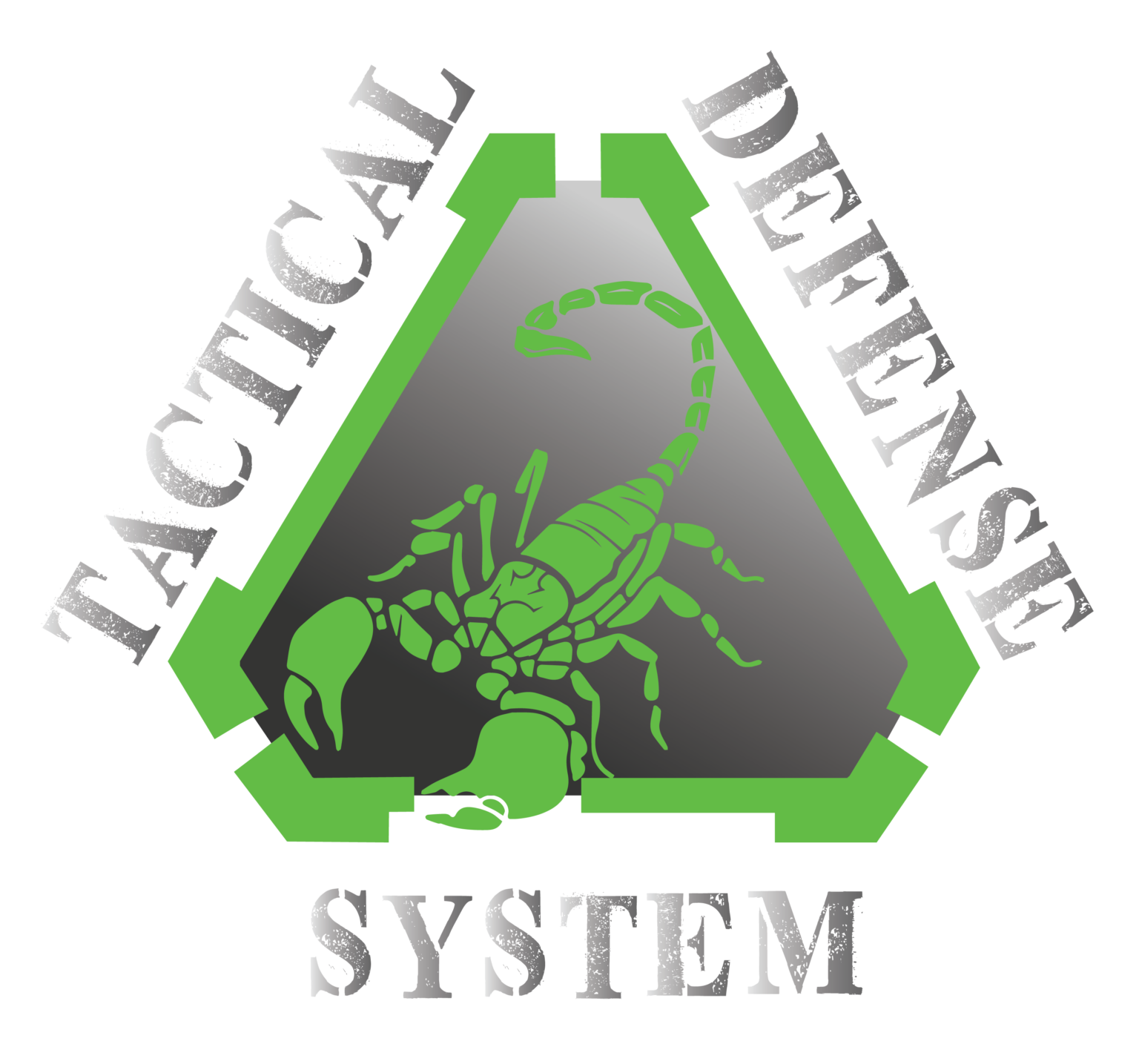 Tactical Defense System – Alexander Loh